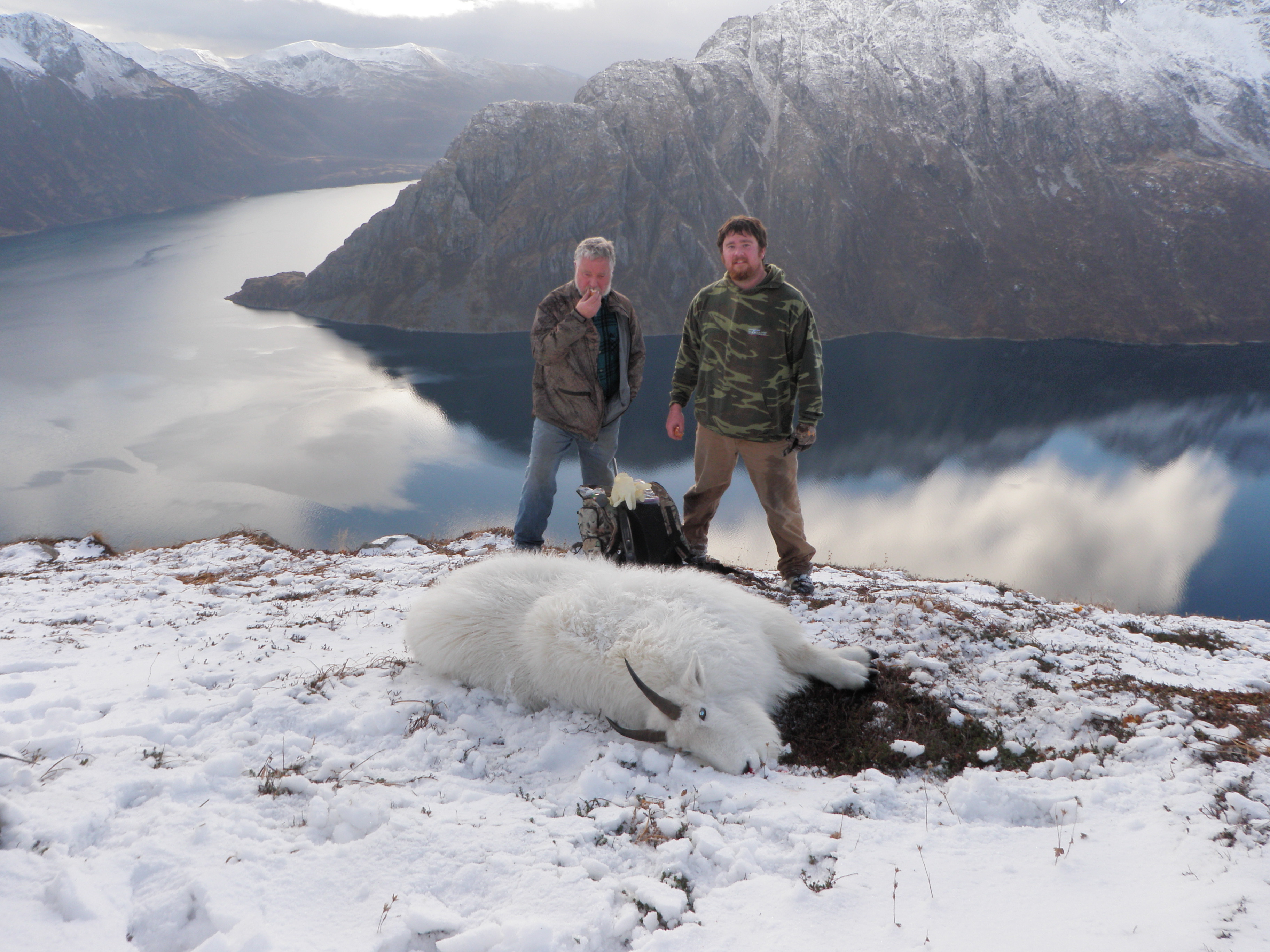 Mountain Goat & Big Game (AK Residents only) - Kodiak Combos